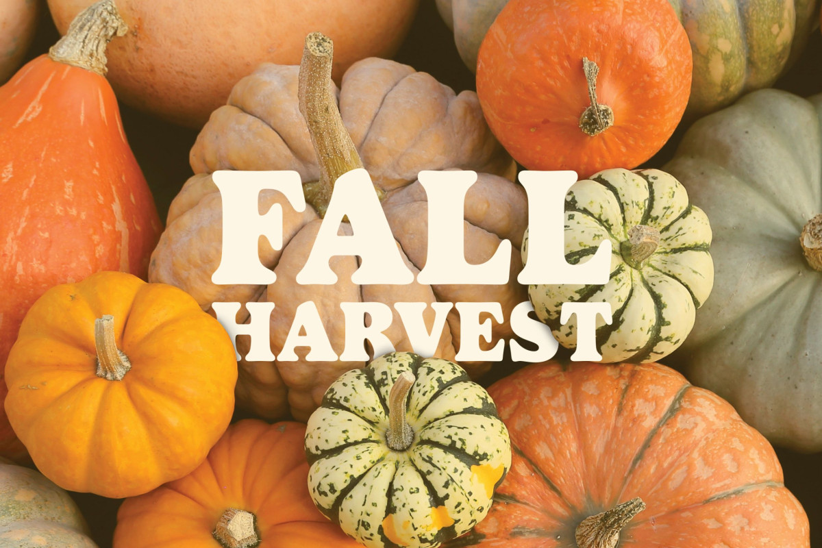 Fall Harvest - Lancaster Archery Academy